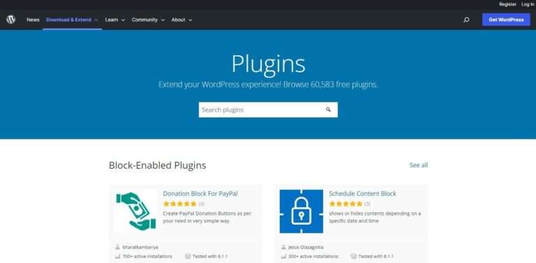 Choosing Between Plugins and Code Snippets: Which Is Best for Your Website?